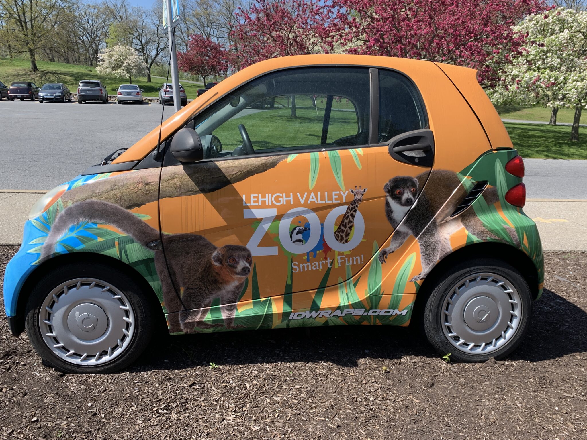 Lehigh Valley Zoo – Wander Filled Musings